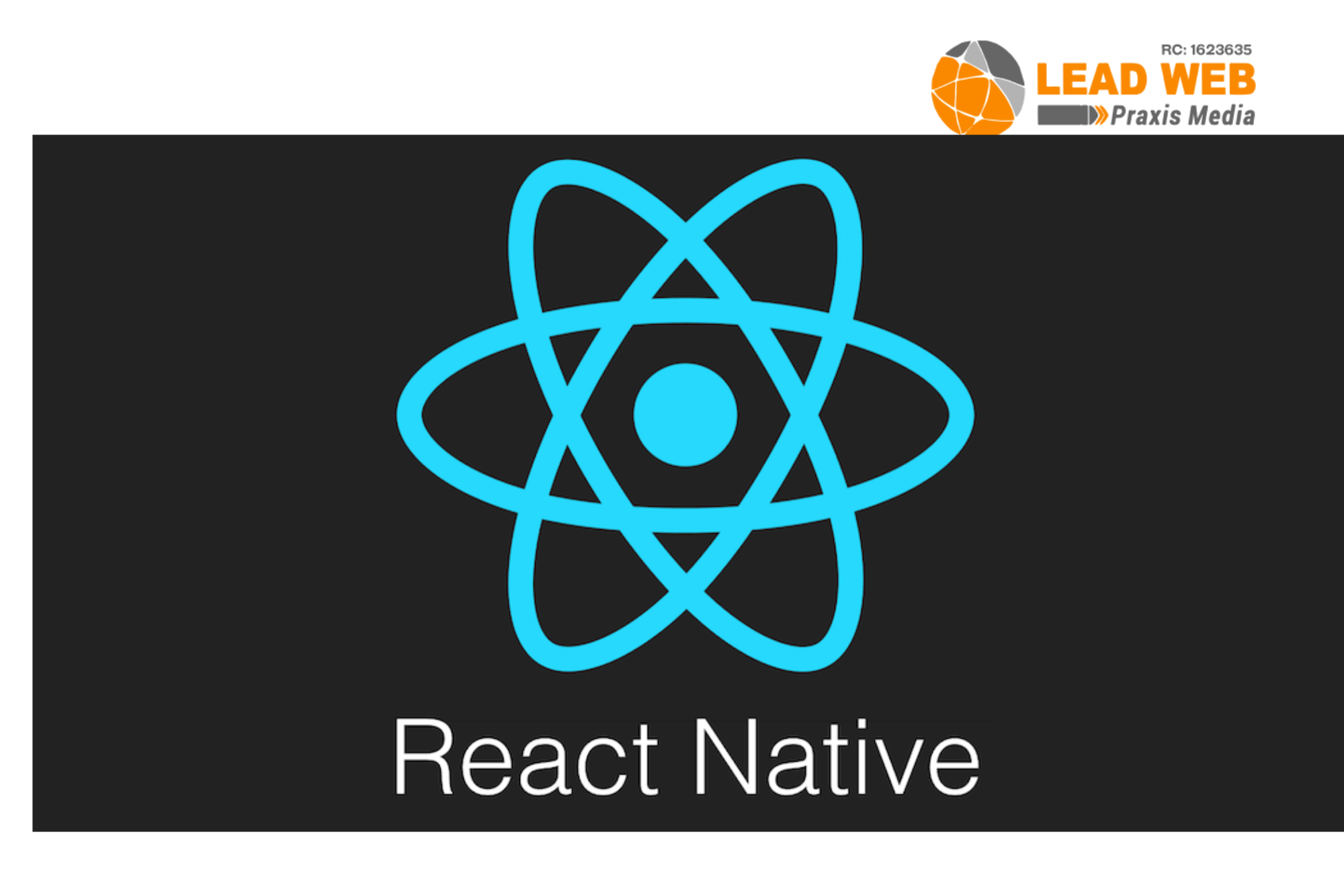 React Native Developers In Abuja Lagos PH Nigeria Africa